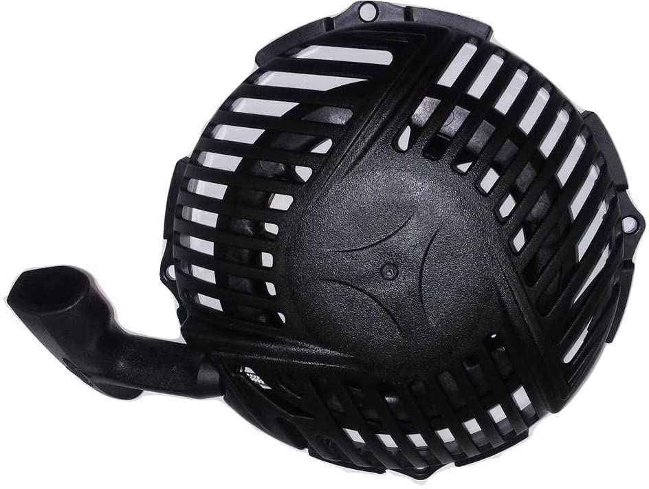 Briggs & Stratton Recoil